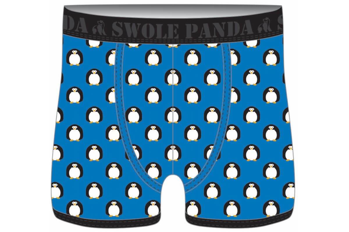 Swole Panda Boxers - Davids of Haslemere